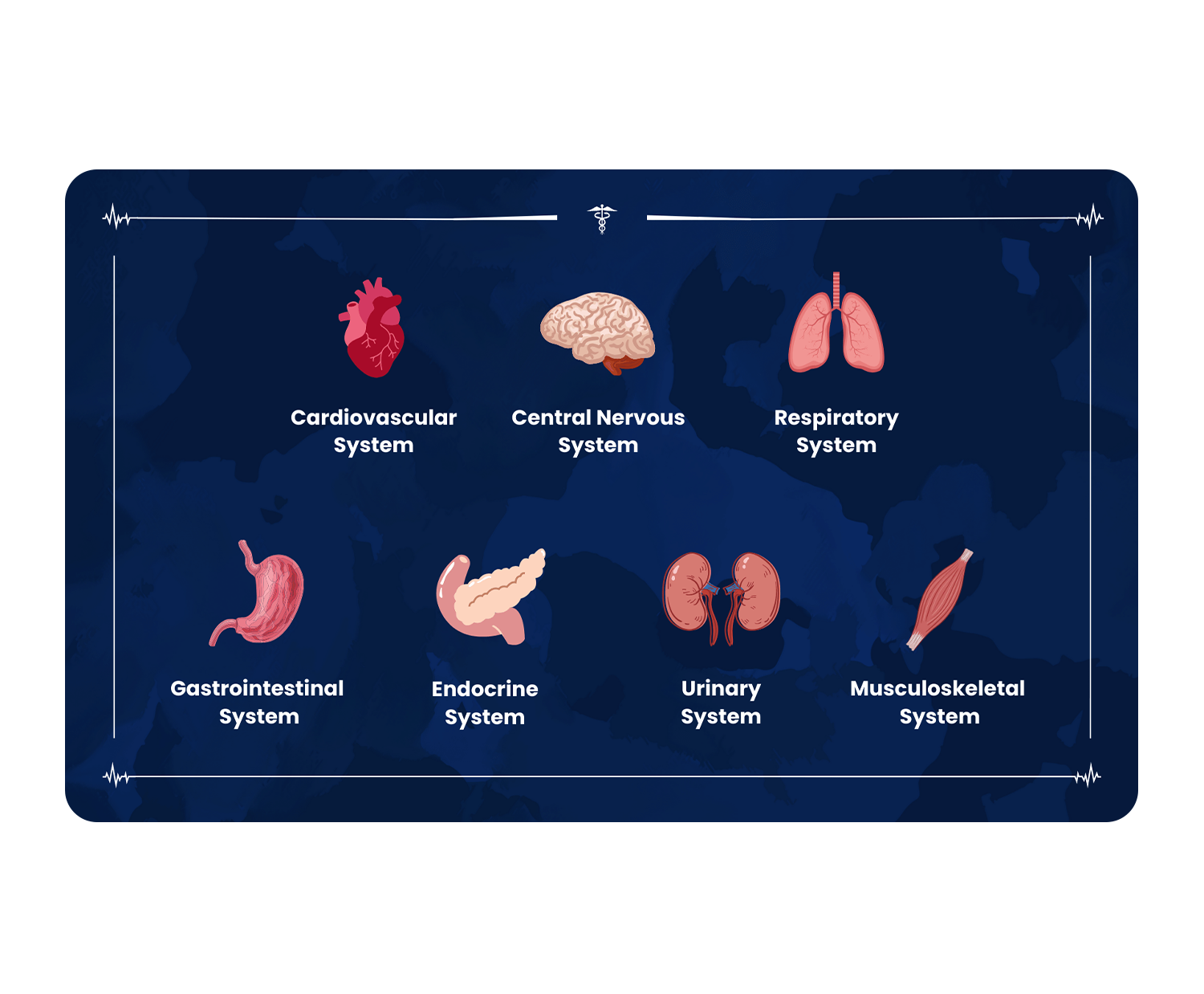 For orders of 1–20 units, proceed to checkout as usual, and the correct ...