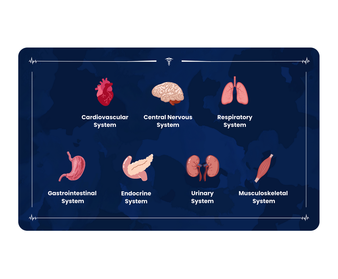 Open media 1 in modal