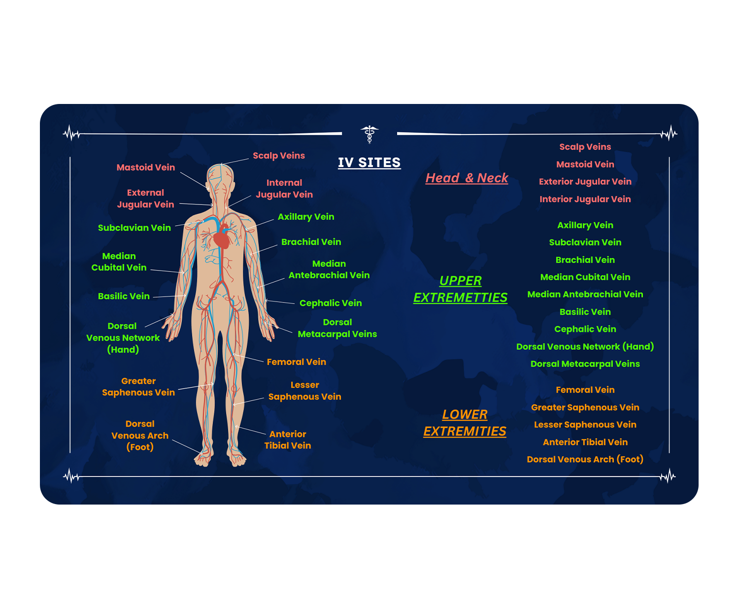 Finally Eliminate Your Fear Of Medications!