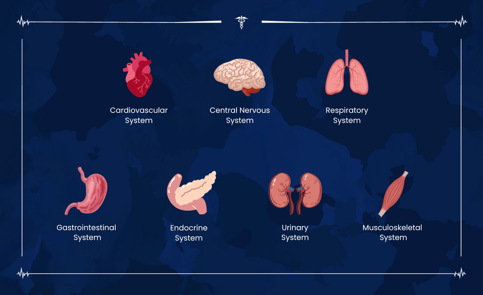Paramedic Pharmacology Cards – Paramedic Flash